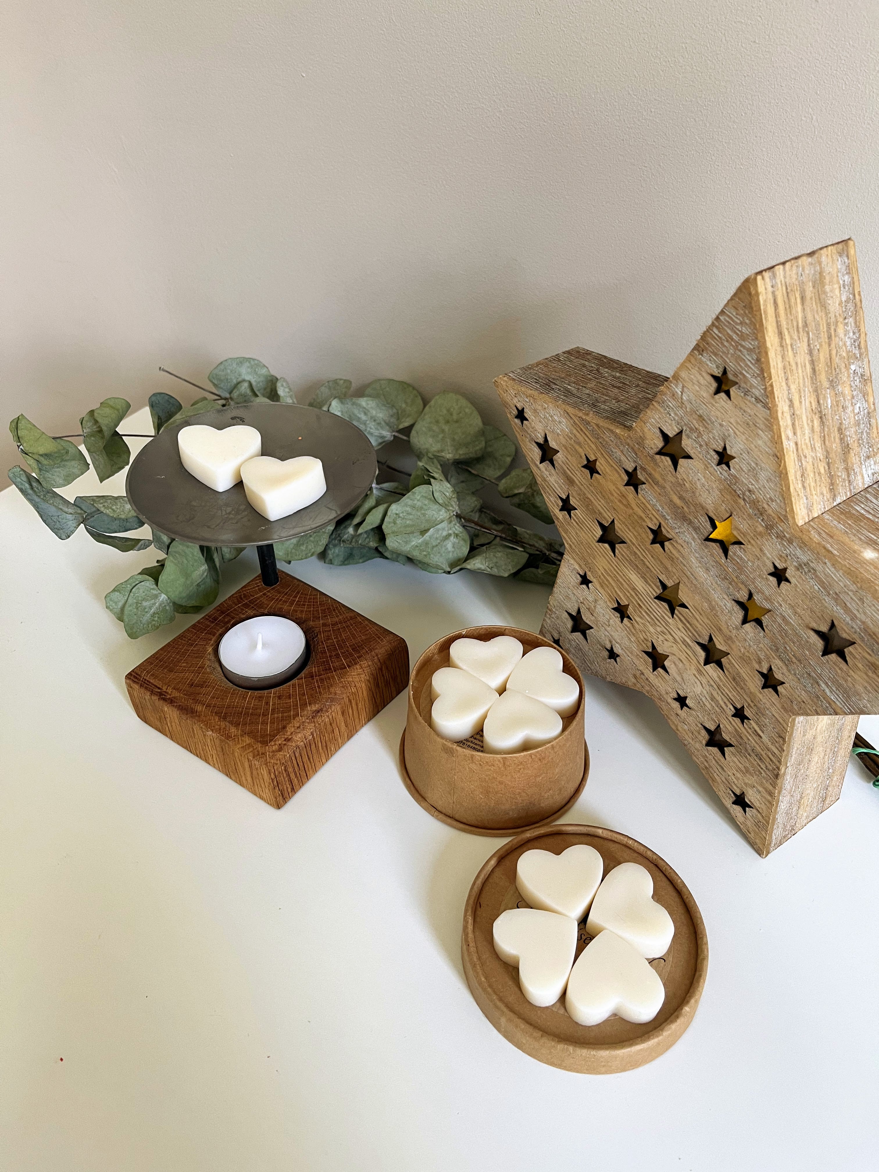 Paradise Beach Wax Melts – The Quinn Co